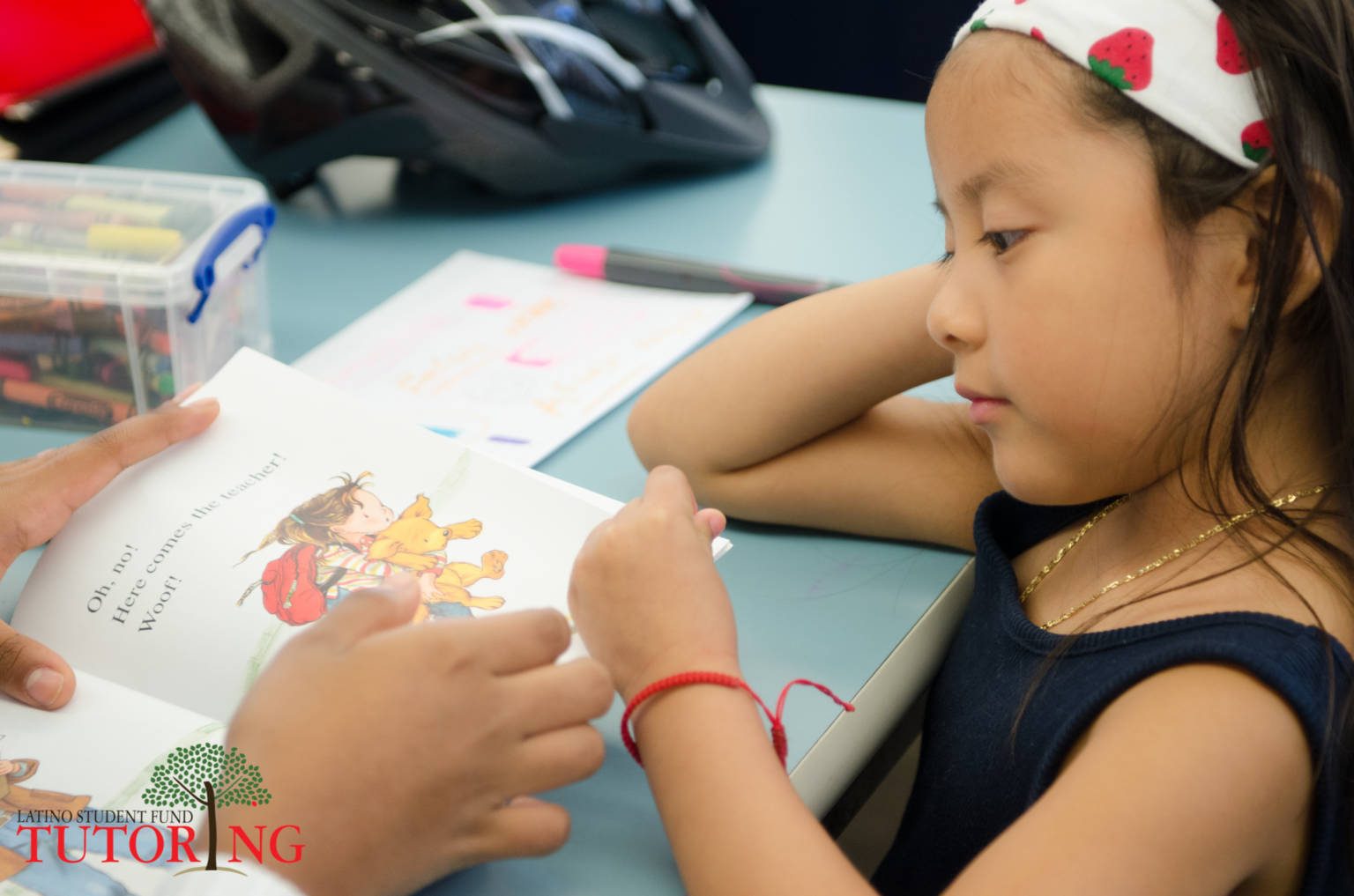 Community Bag - Giant Food Community Programs